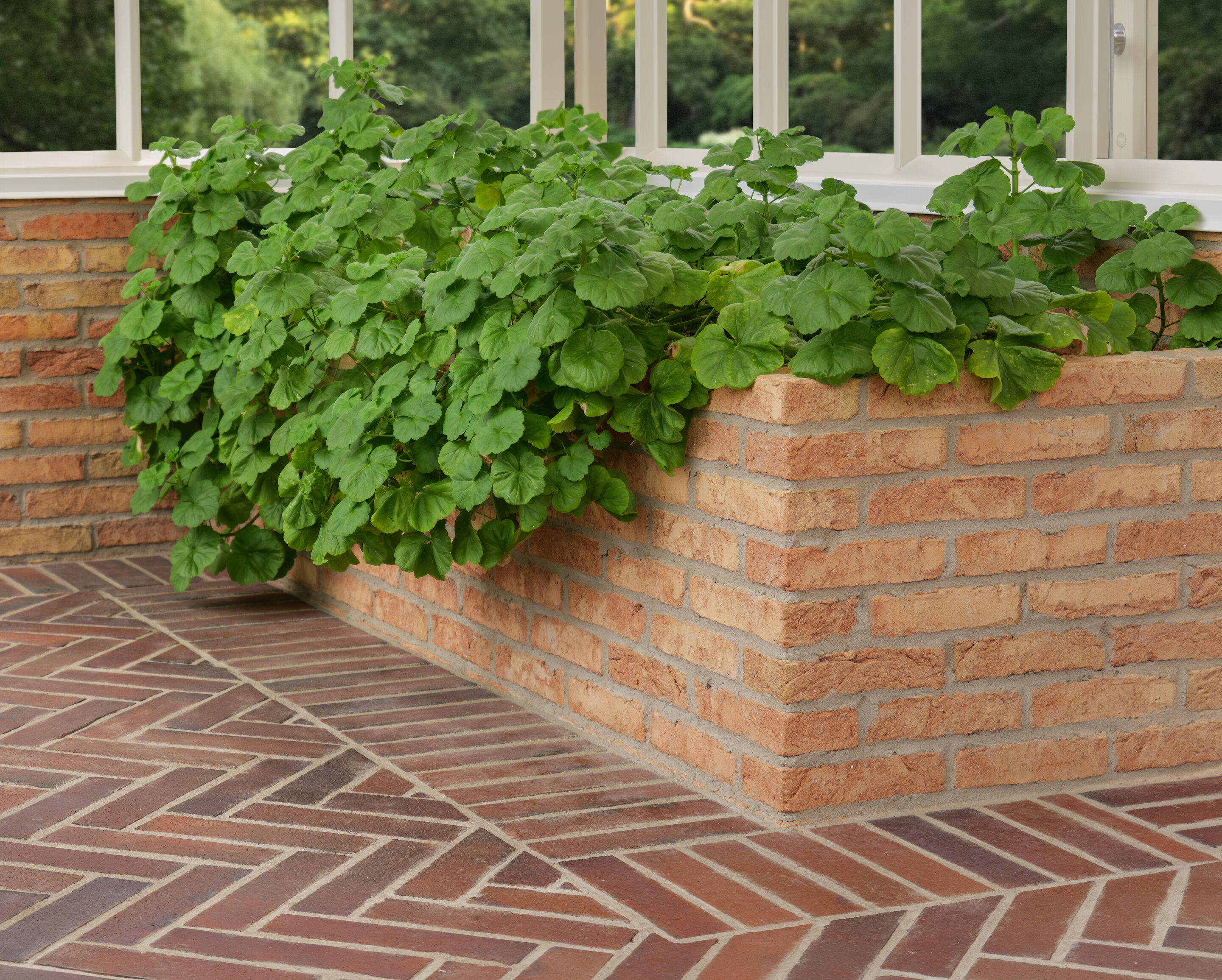 Uterum, Växthus & Altan – Handla online | Willab Garden