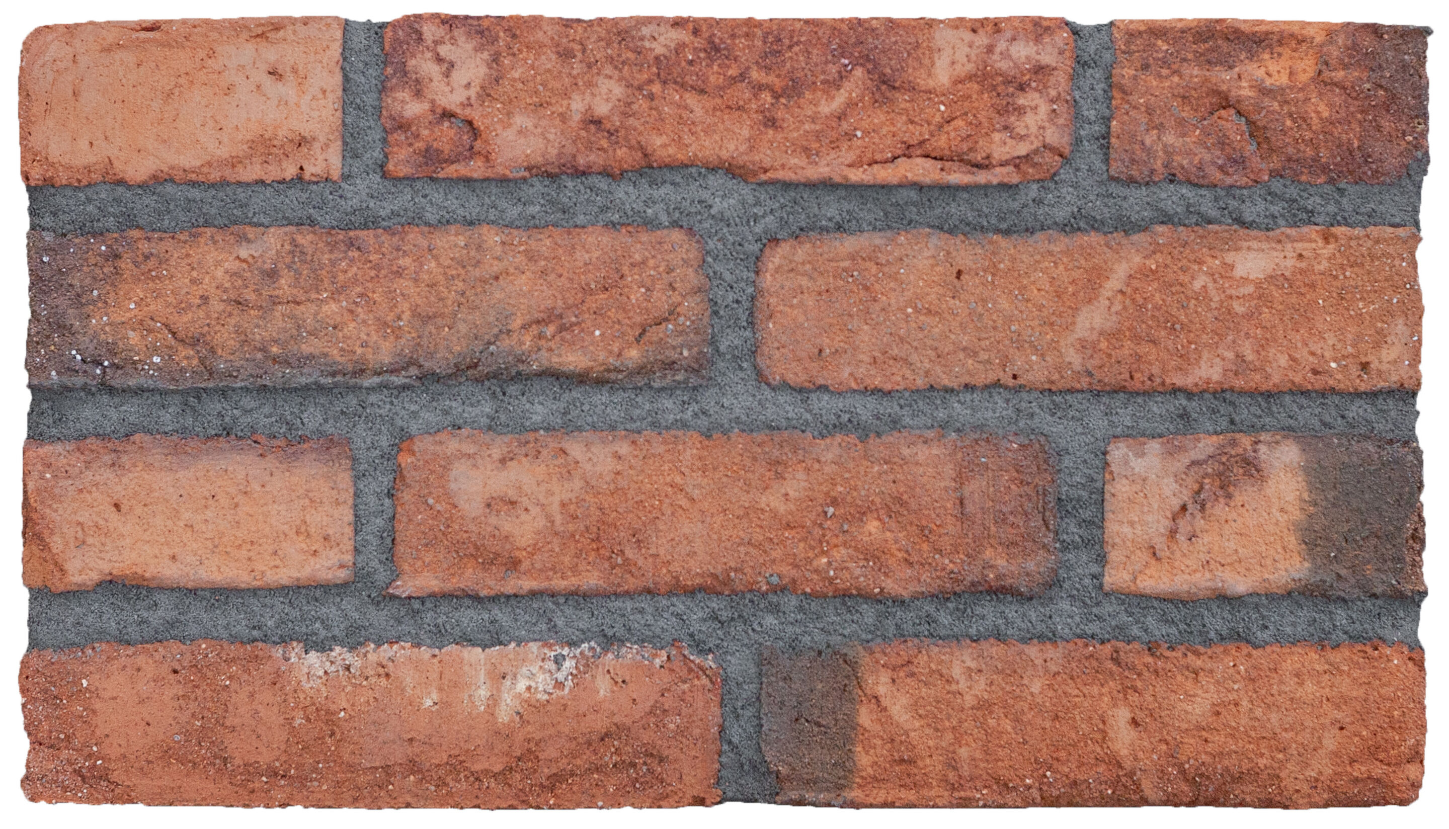 Murtegel Red Shade | Willab Garden