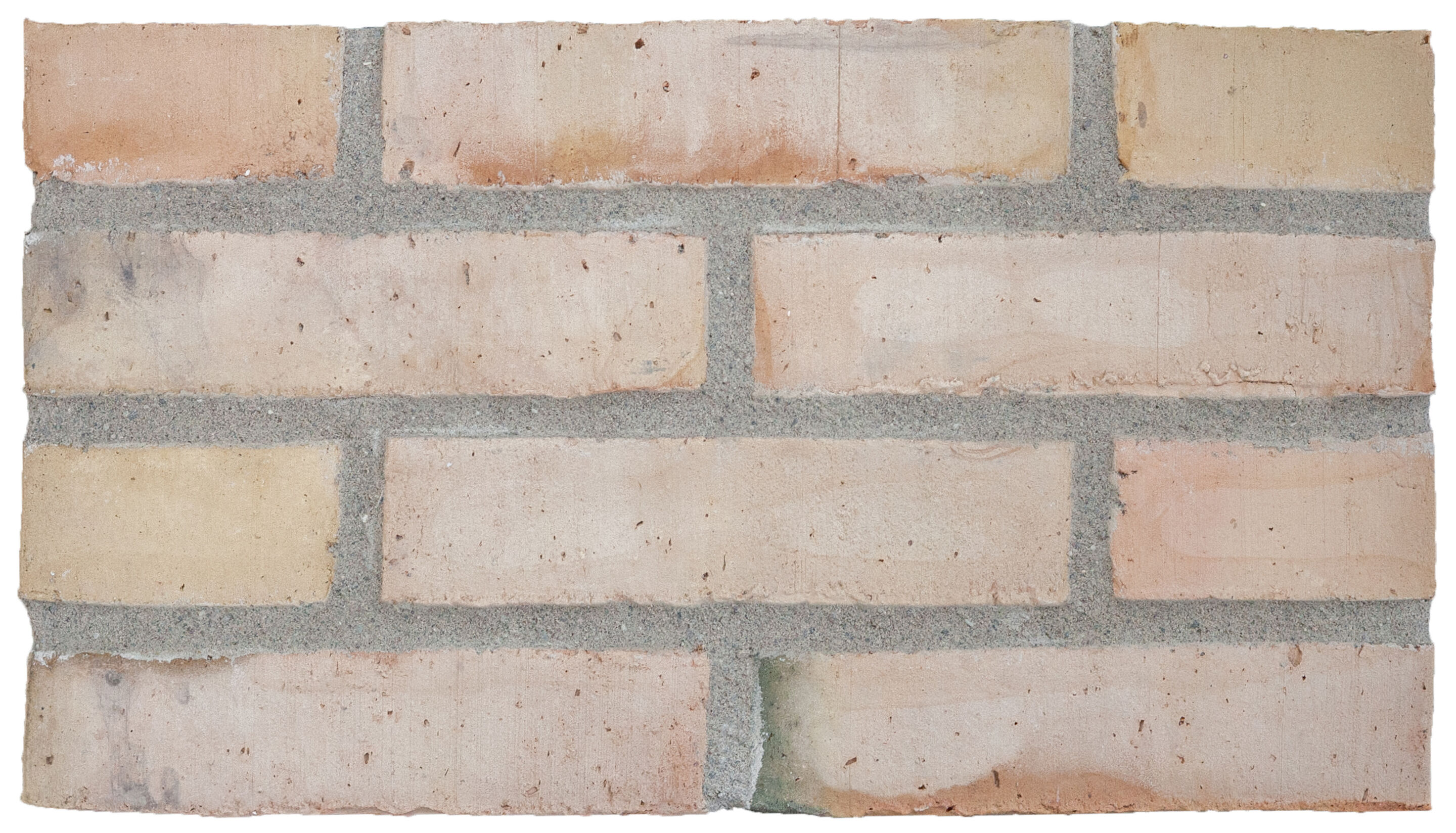 Murtegel Red Shade | Willab Garden