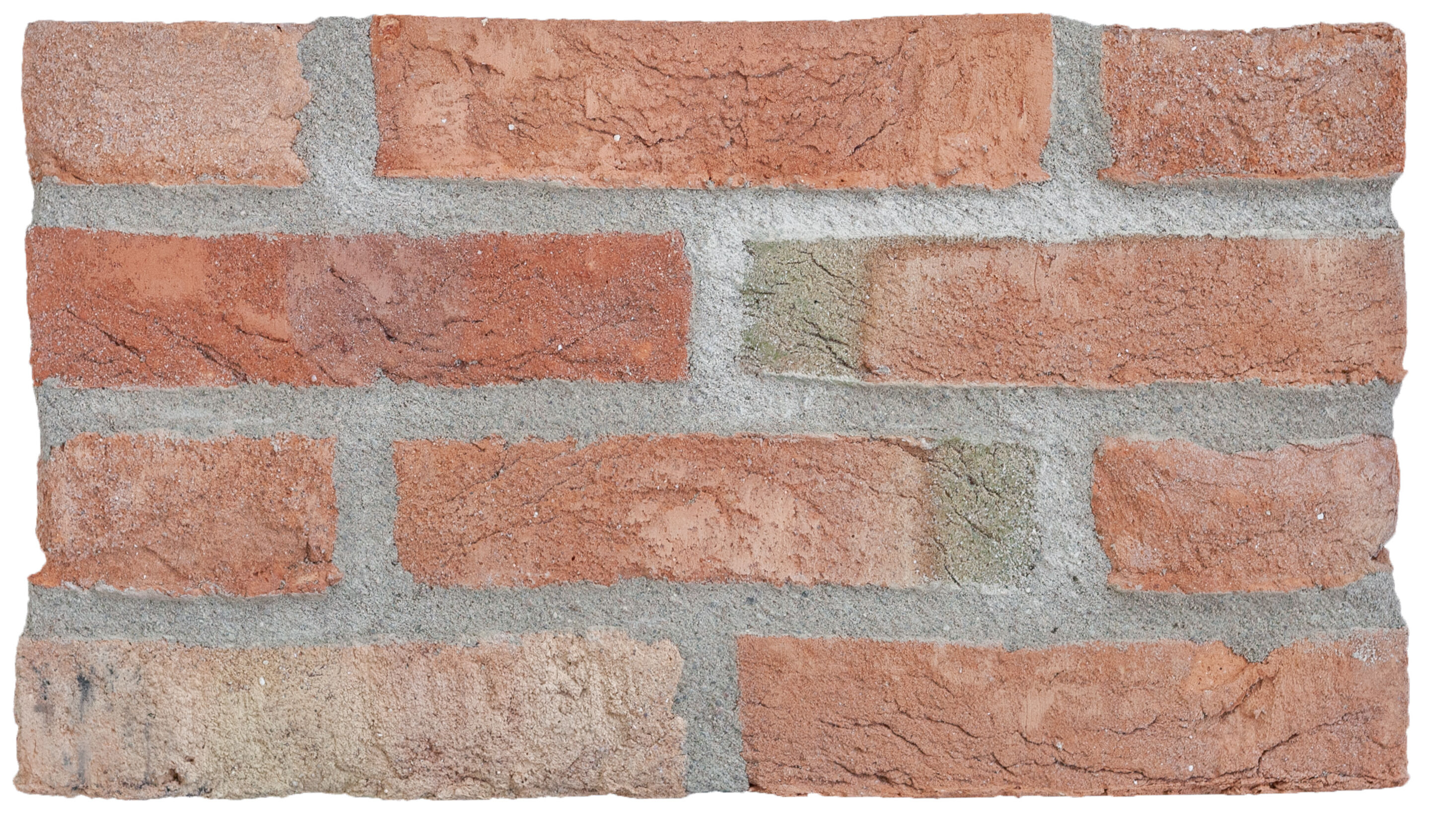 Murtegel Rosé | Willab Garden