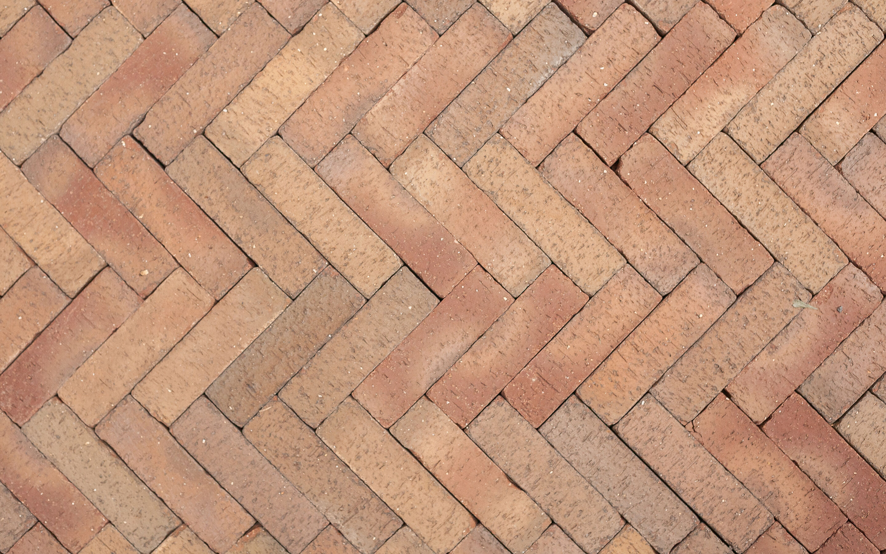 Mur- och Marktegel | Willab Garden