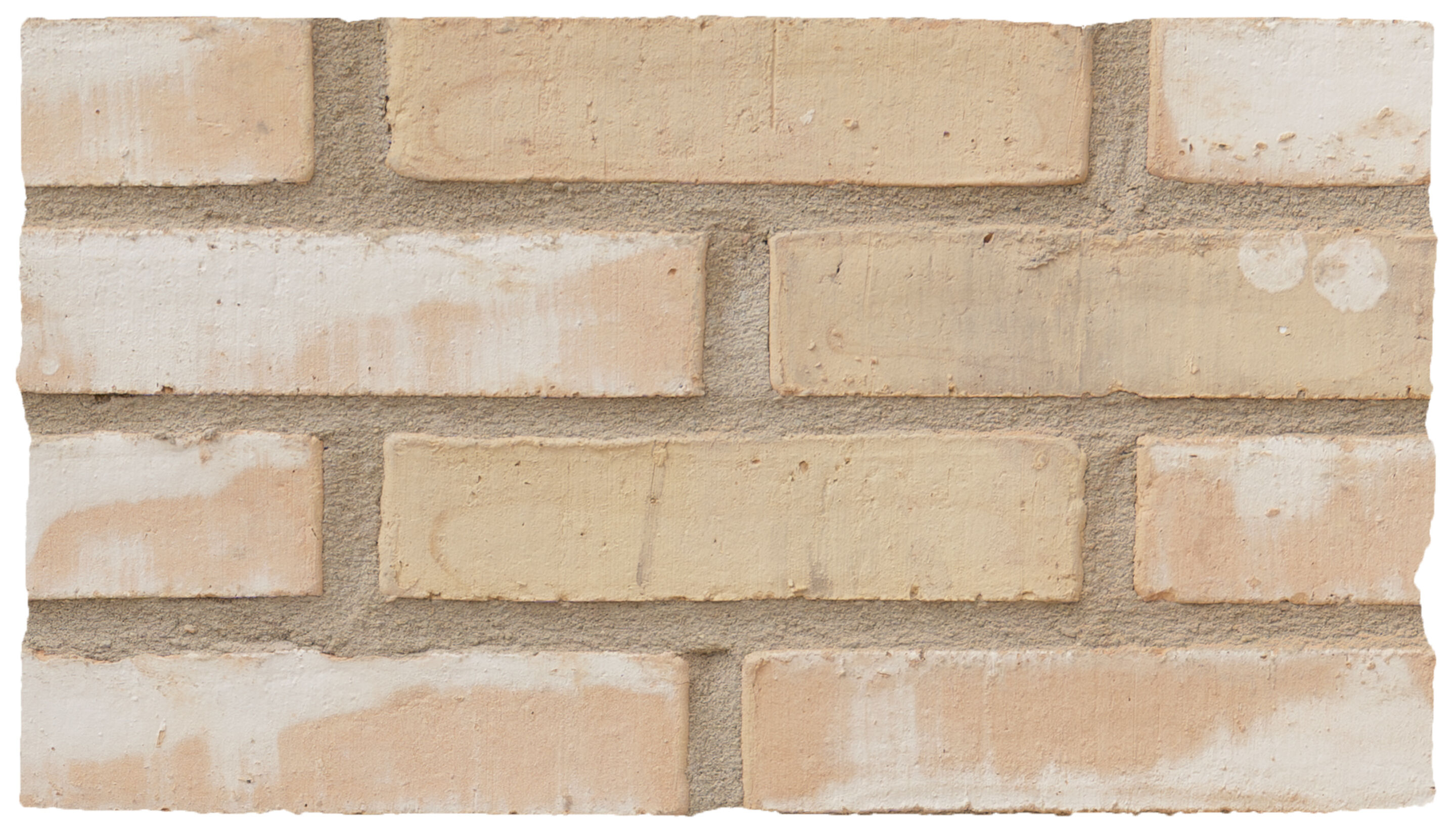 Murtegel Red Shade | Willab Garden